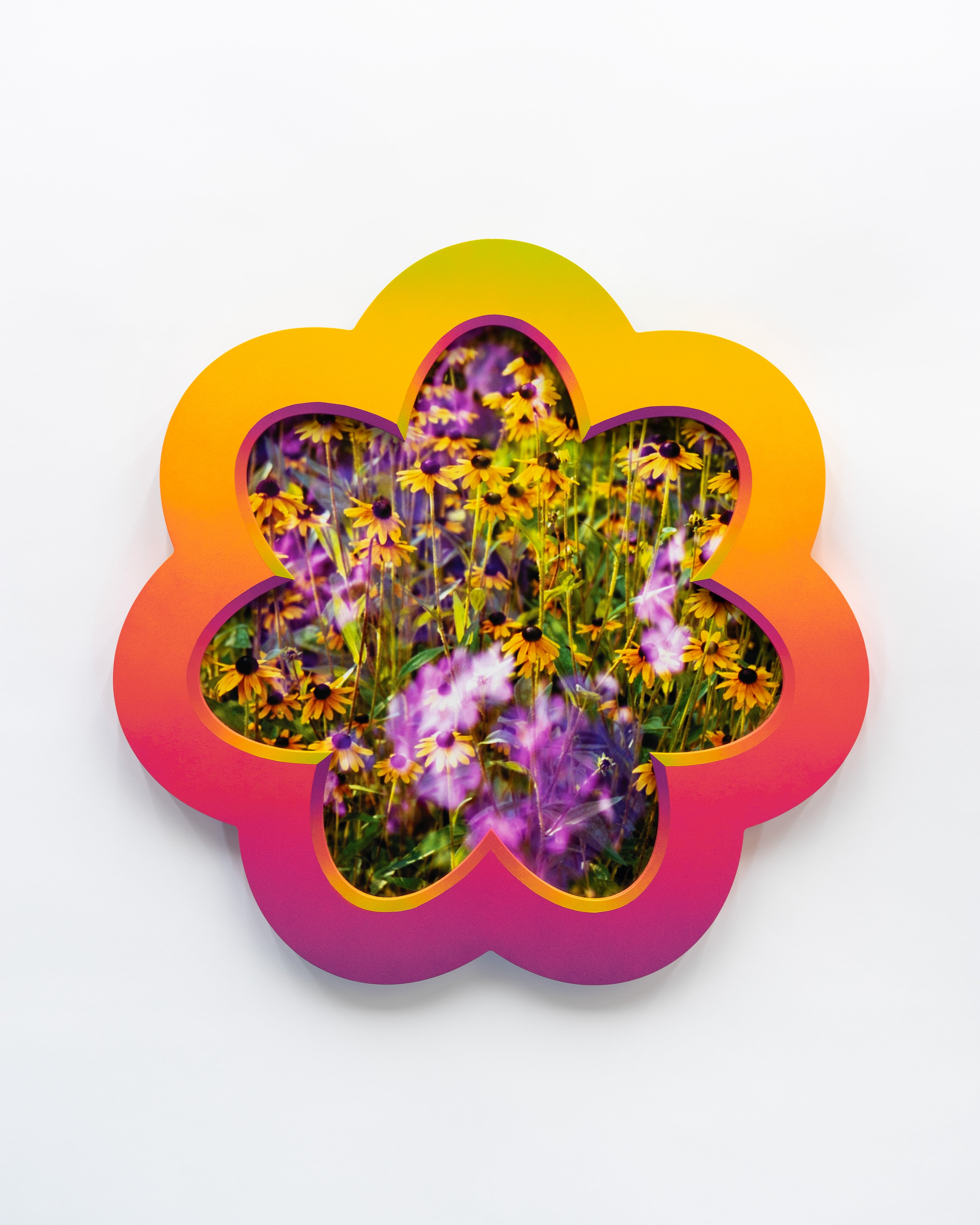 Soft Fade – Dillon Beck Dot Com